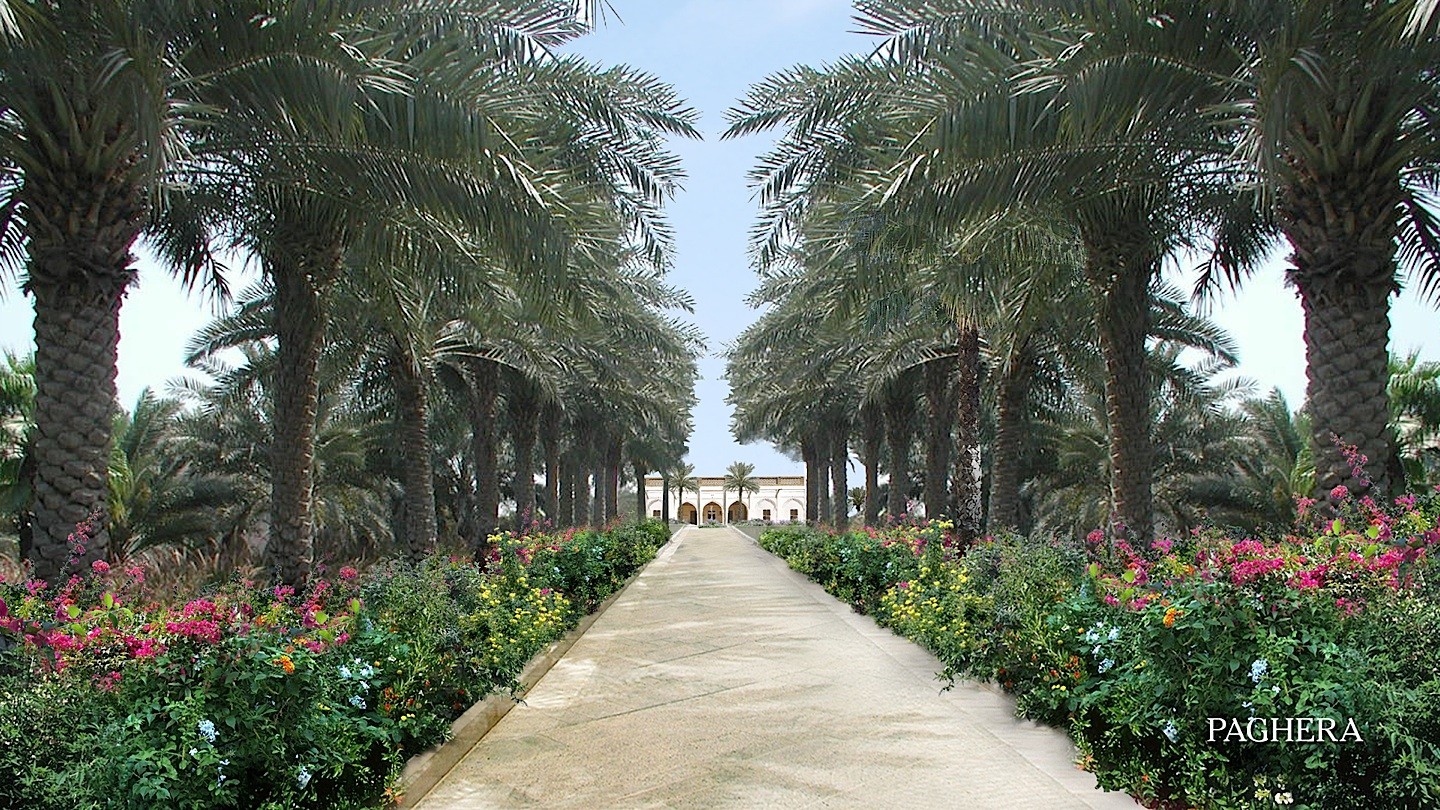 An oasis born in Kuwait's desert - Gardens - Paghera Landscape Società ...